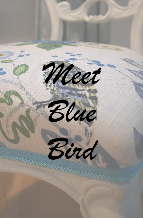 Sitting Pretty Chairs